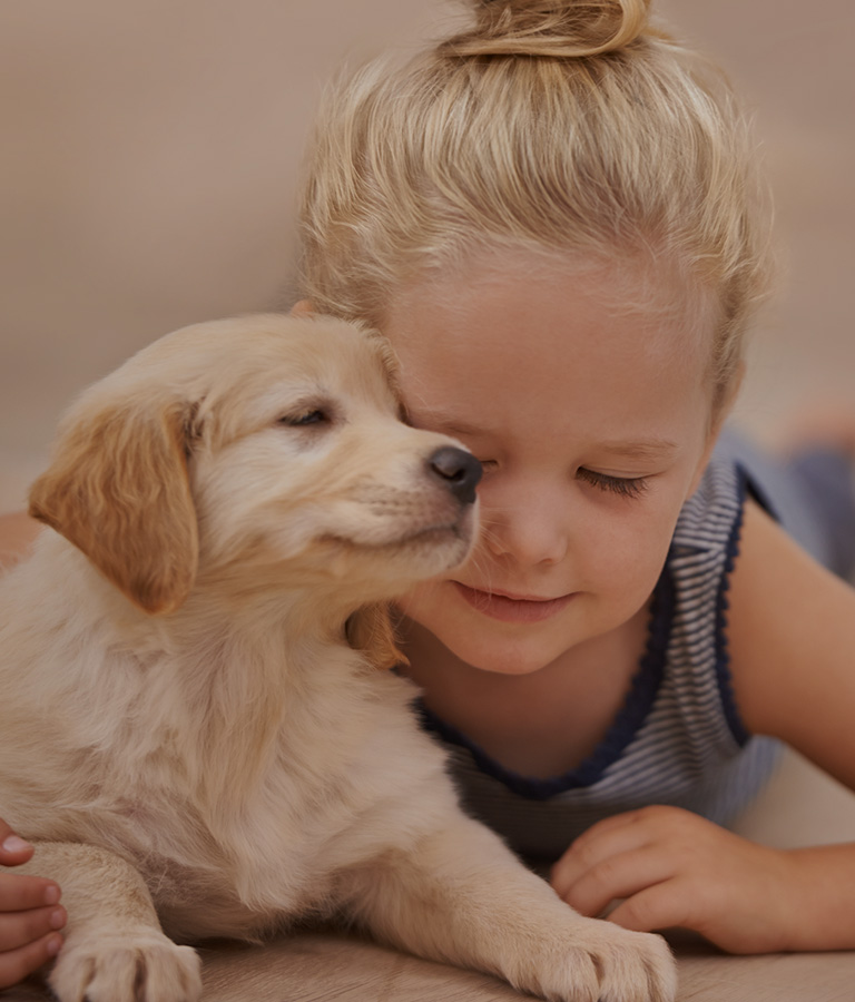 비젼메드 / VISIONMED / CPV