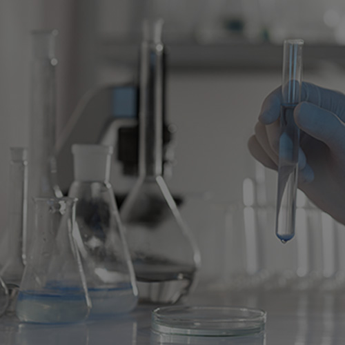 비젼메드 / VISIONMED / CPV