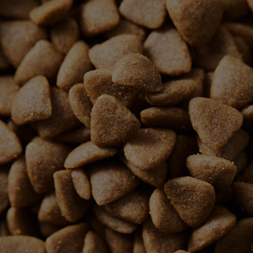 비젼메드 / VISIONMED / CPV