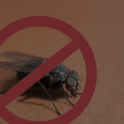 비젼메드 / VISIONMED / CPV